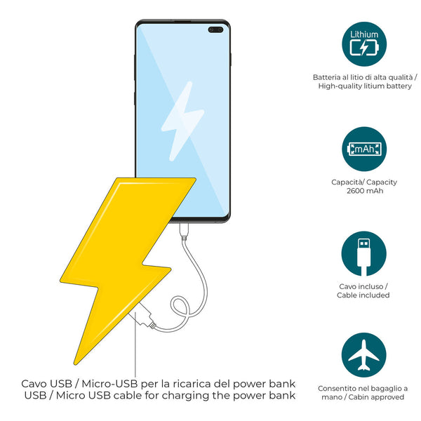 Flash power bank